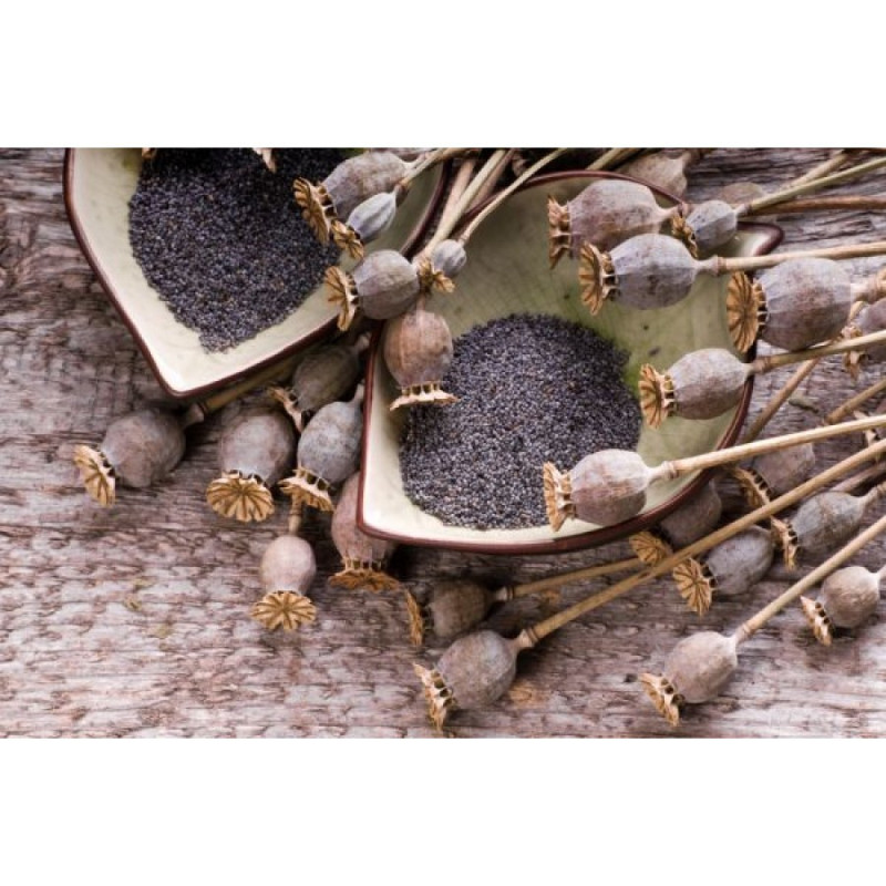 POPPY SEED LIQUEUR / OPYYUM MAGNA CUM LAUDE